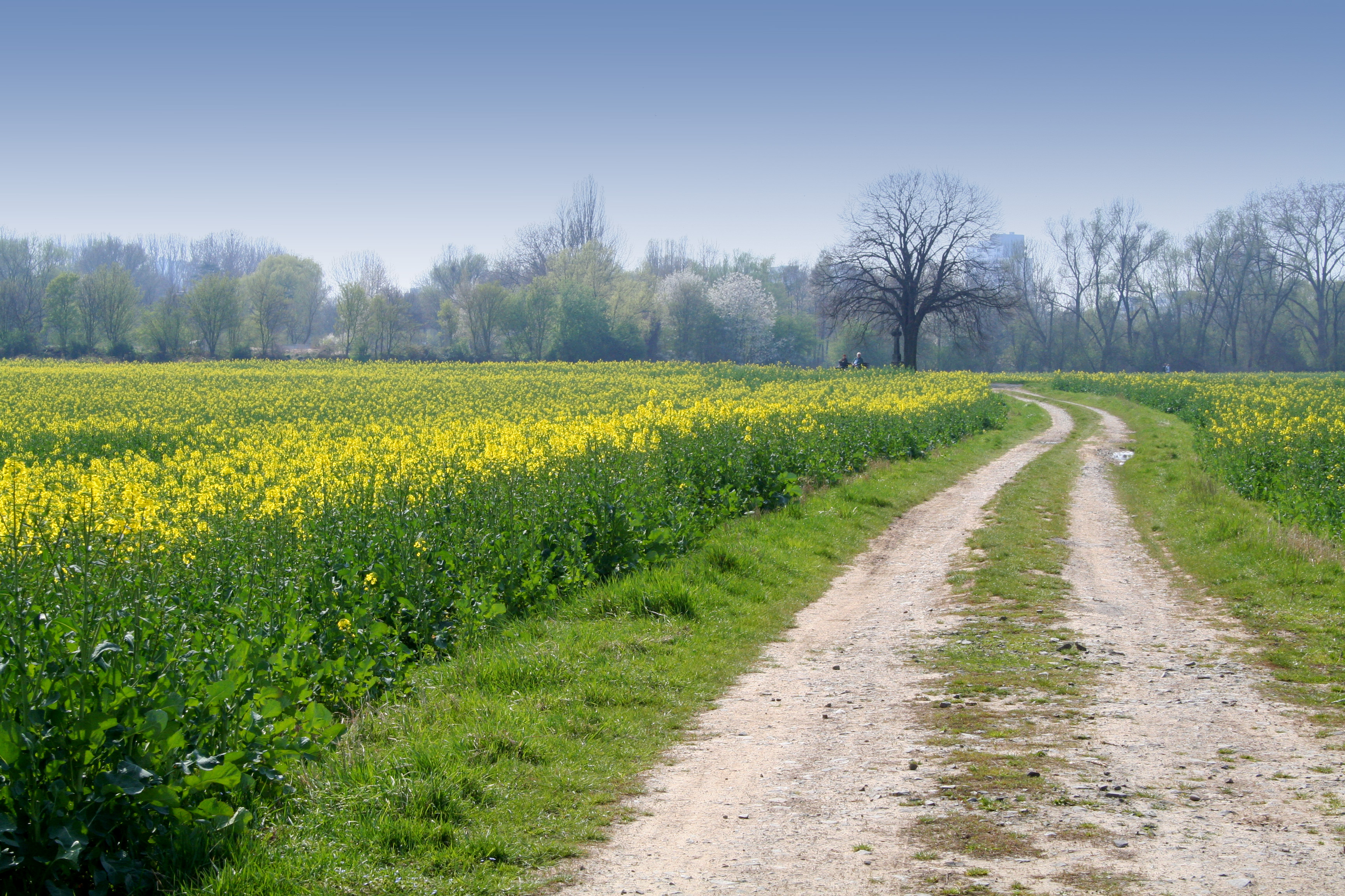 AF, ASA : associations d’intérêt agricole | SDPR – Propriétaires Ruraux ...